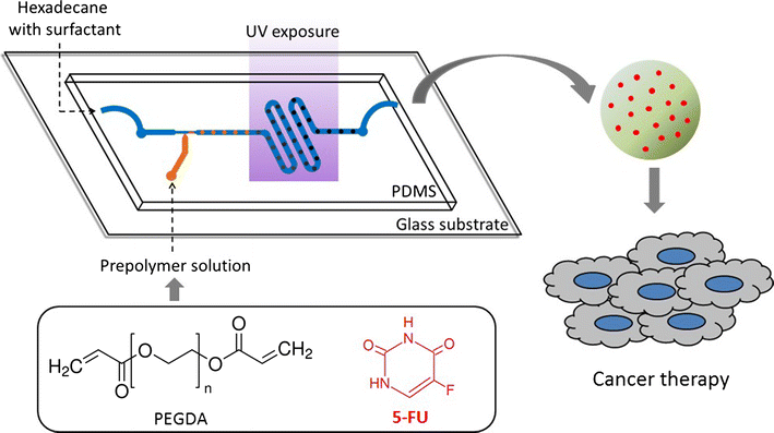 Microfluidic synthesis of monodisperse PEGDA microbeads for sustained ...