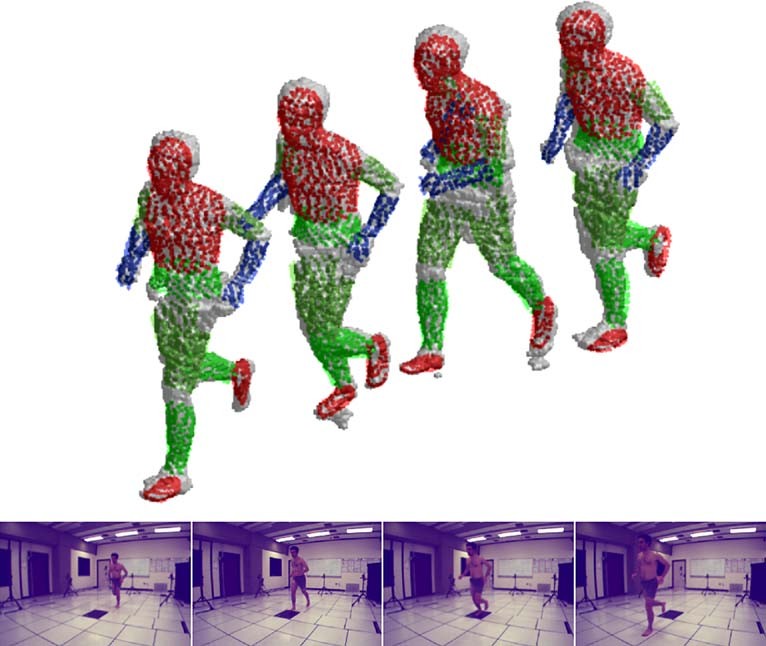 A Markerless Motion Capture System to Study Musculoskeletal Biomechanics: Visual Hull and ...