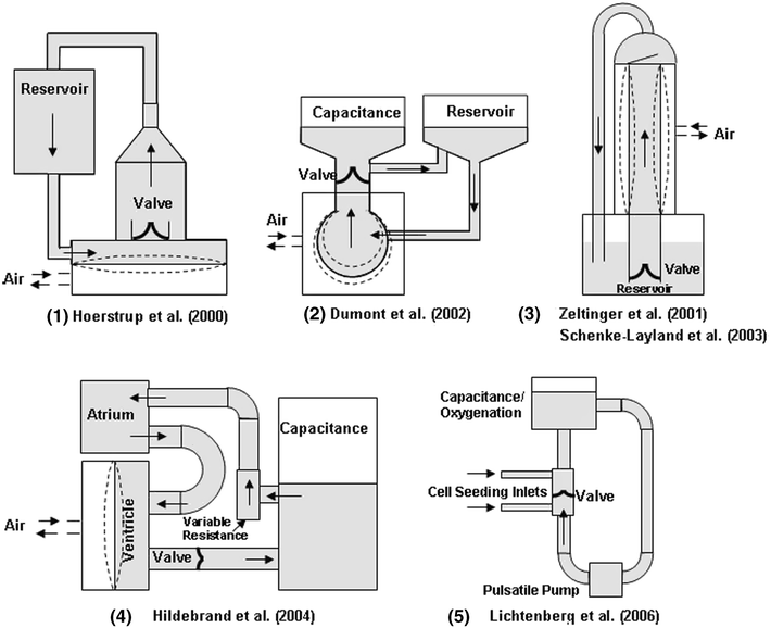 Bioreactors for Development of Tissue Engineered Heart Valves ...