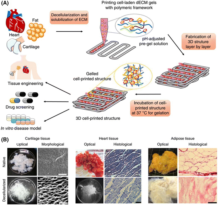 3D Bioprinting for Tissue and Organ Fabrication | SpringerLink