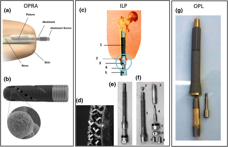 Biomechanical Characterisation of Bone-anchored Implant Systems for ...