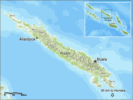 Factors influencing smallholder commercial tree planting in Isabel ...