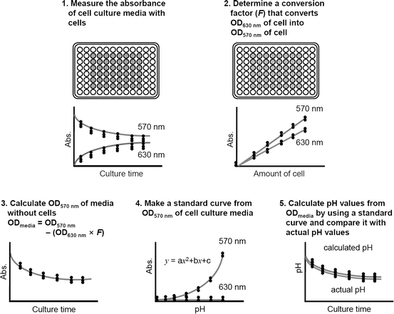 Colorimetric pH measurement of animal cell culture media | SpringerLink