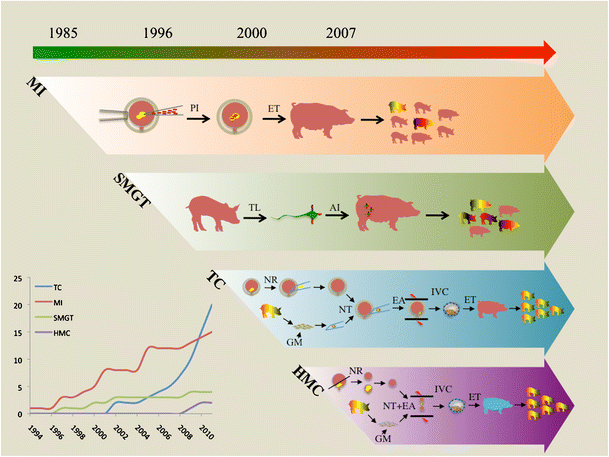 Genetically modified pigs for biomedical research | SpringerLink