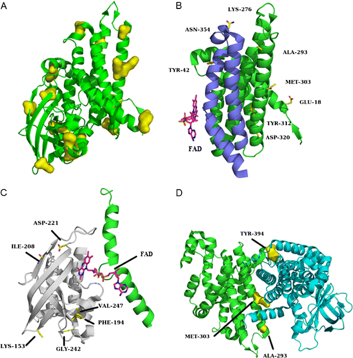 Functional studies of 18 heterologously expressed medium-chain acyl-CoA ...