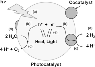 Photocatalytic Water-Splitting Reaction from Catalytic and Kinetic ...