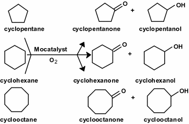 Molybdenum Complexes as Catalysts for the Oxidation of Cycloalkanes ...