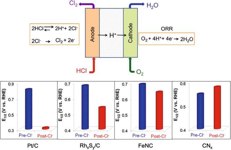 Investigation of Chloride Poisoning Resistance for Nitrogen-Doped ...