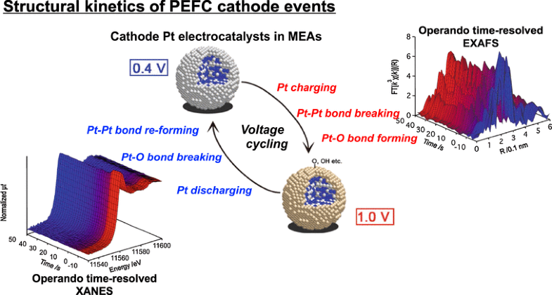 Structural Kinetics of Cathode Events on Polymer Electrolyte Fuel Cell Catalysts Studied by ...