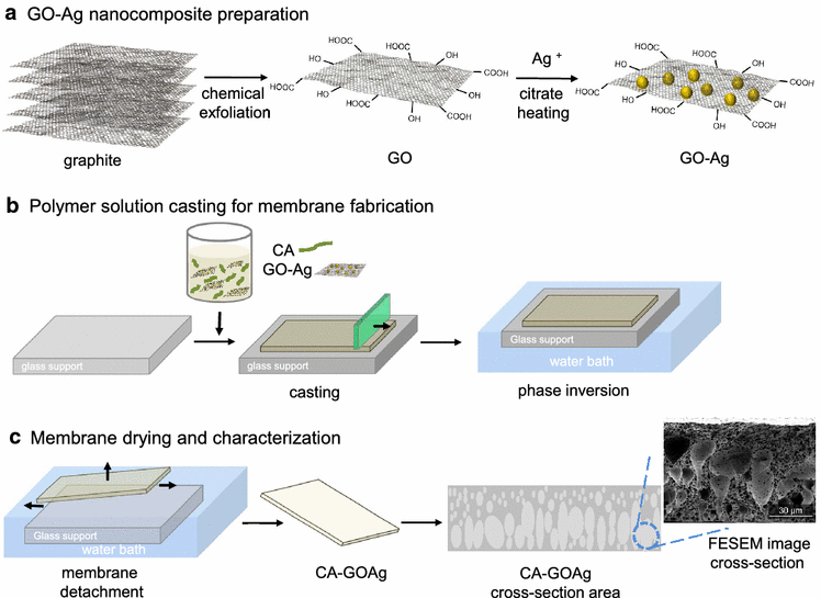 Cellulose acetate membrane embedded with graphene oxide-silver ...