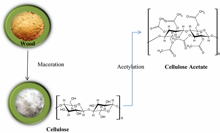 Preparation and characterization of microporous cellulose acetate films ...