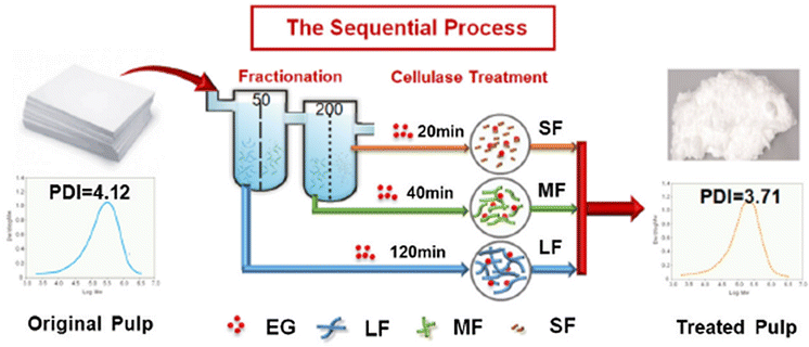 Methods to increase the reactivity of dissolving pulp in the viscose ...