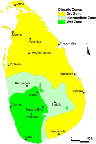 Climate change and food security: a Sri Lankan perspective | SpringerLink