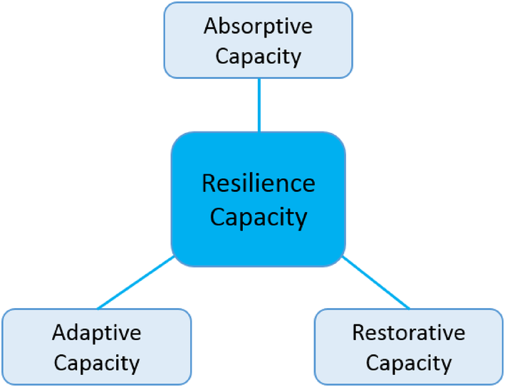 Resilience engineering: theory and practice in interdependent ...