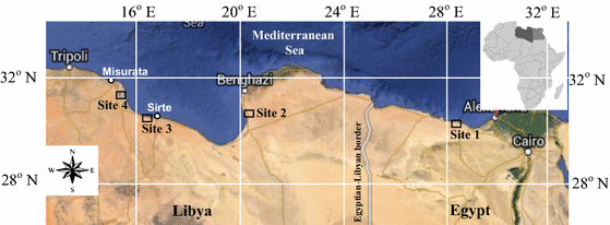 Geotechnical Characteristics of Stabilized Sabkha Soils from the ...