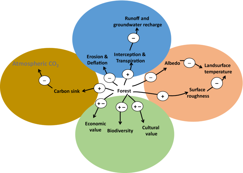 Aspects of Forest Biomass in the Earth System: Its Role and Major ...