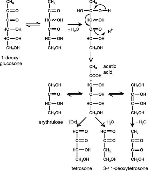 Pathways of the Maillard reaction under physiological conditions ...