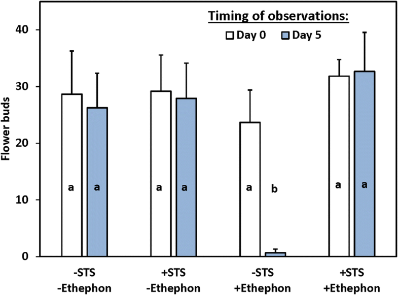 The anti-ethylene growth regulator silver thiosulfate (STS) increases ...