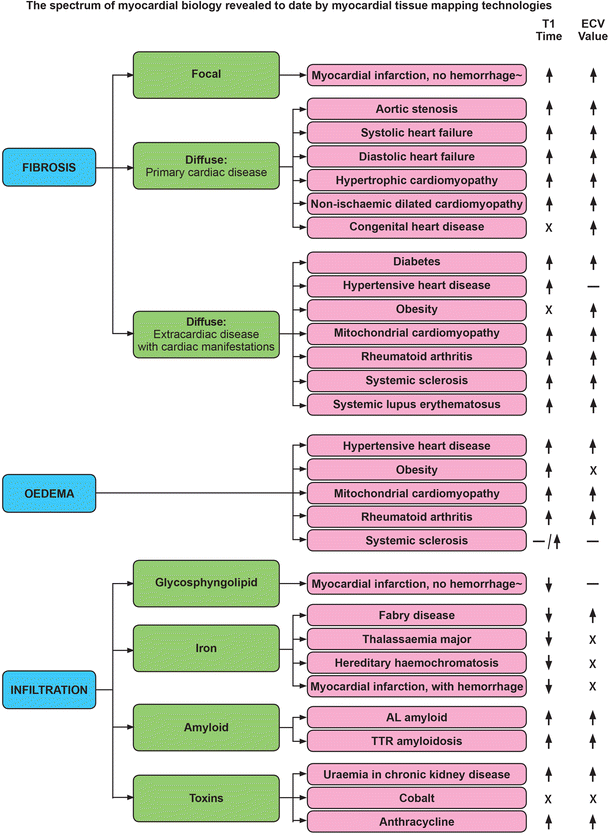 T1 mapping in cardiac MRI | SpringerLink