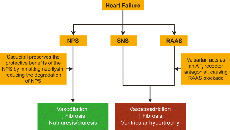 Practical guidance on the use of sacubitril/valsartan for heart failure ...