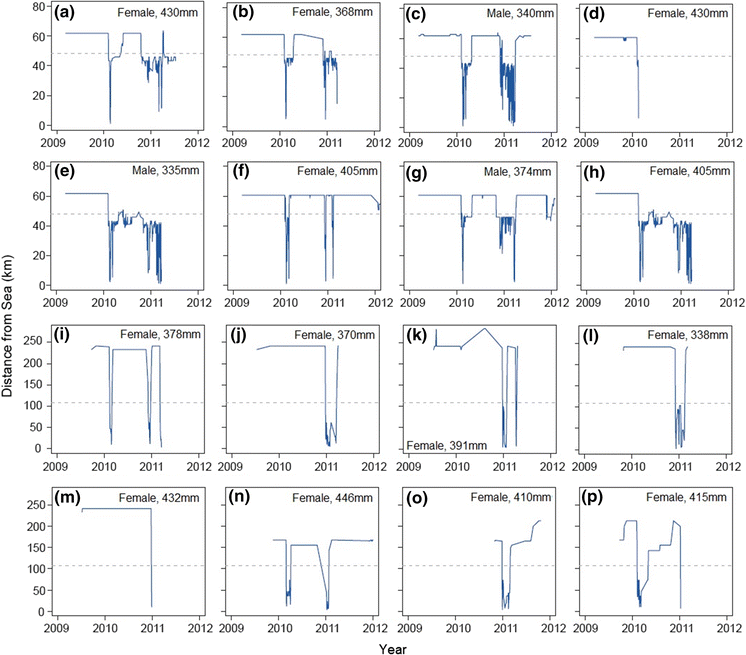 Combining otolith chemistry and telemetry to assess diadromous ...