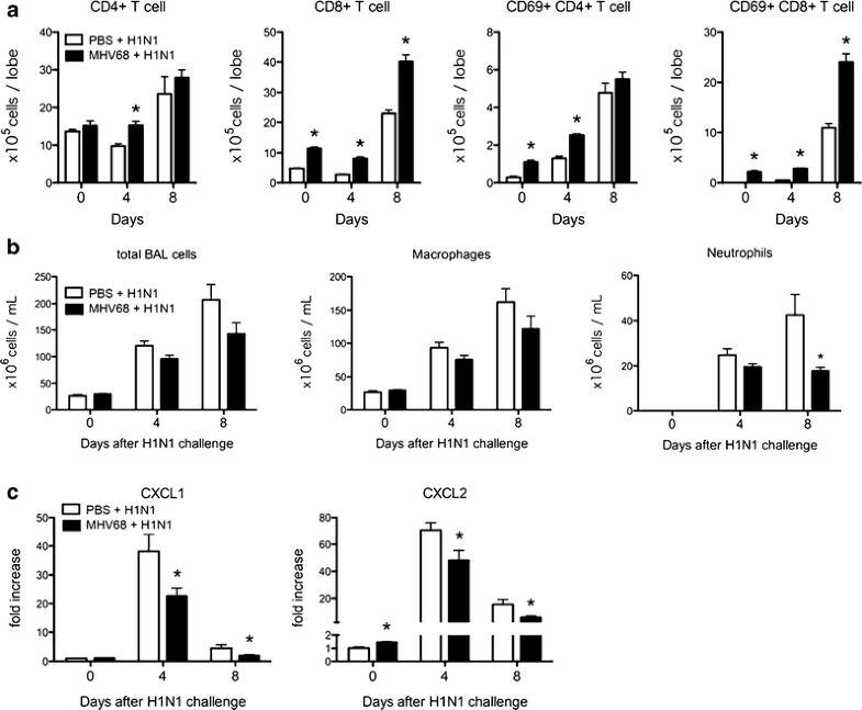 MHV68 Latency Modulates the Host Immune Response to Influenza A Virus ...