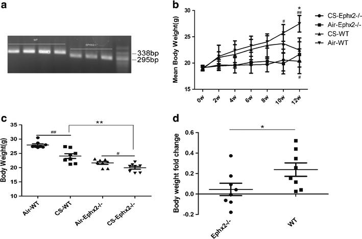 Cigarette Smoke-Induced Pulmonary Inflammation and Autophagy Are ...