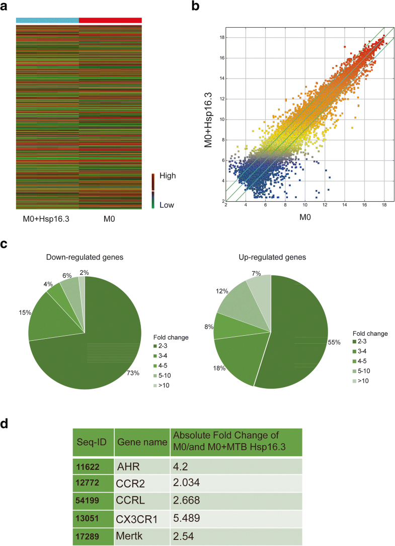 Mycobacterium tuberculosis Heat-Shock Protein 16.3 Induces Macrophage ...