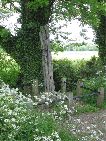 The Technology of the Gibbet | SpringerLink