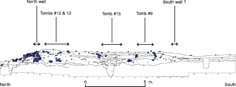 African-European Contacts in the Kongo Kingdom (Sixteenth-Eighteenth ...