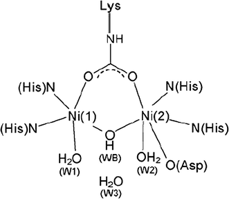 Urea removal from aqueous solutions—a review | SpringerLink