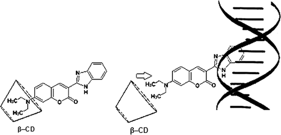 Modulation of the interaction of Coumarin 7 with DNA by β-cyclodextrin ...