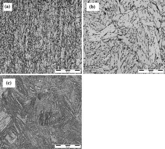 Hydrogen-induced cracking susceptibility and hydrogen trapping ...
