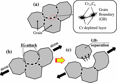 On the mechanism of intergranular stress corrosion cracking of ...