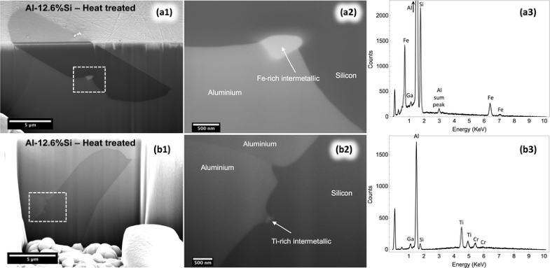 Silicon particle pinhole defects in aluminium–silicon alloys | SpringerLink