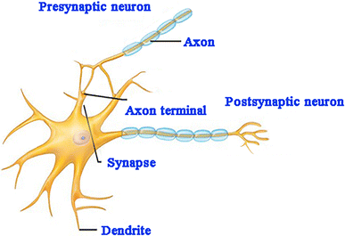 Oxide-based RRAM materials for neuromorphic computing | SpringerLink
