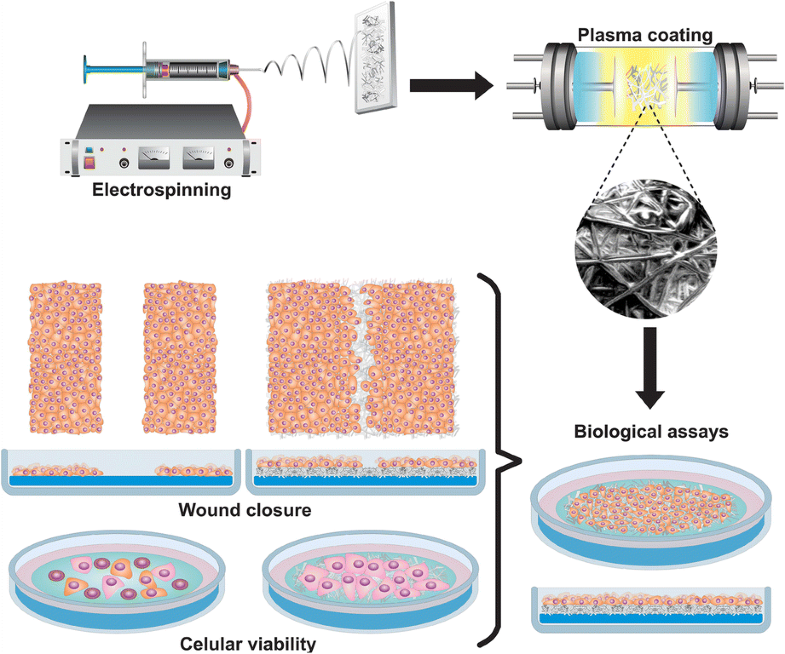 Enhancing electrospun scaffolds of PVP with polypyrrole/iodine for tissue engineering of skin ...