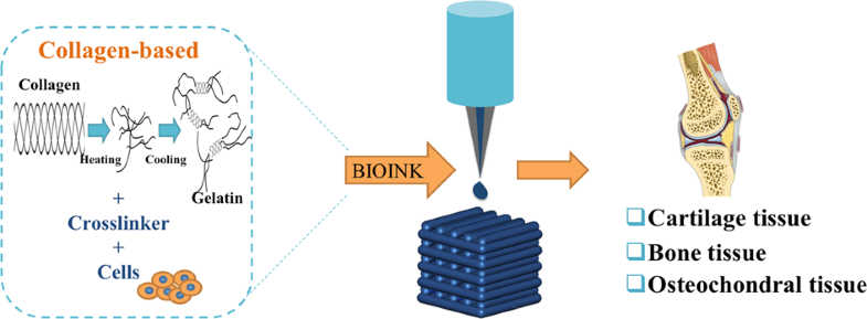 Collagen-based bioinks for hard tissue engineering applications: a ...