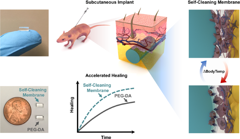 A self-cleaning, mechanically robust membrane for minimizing the ...