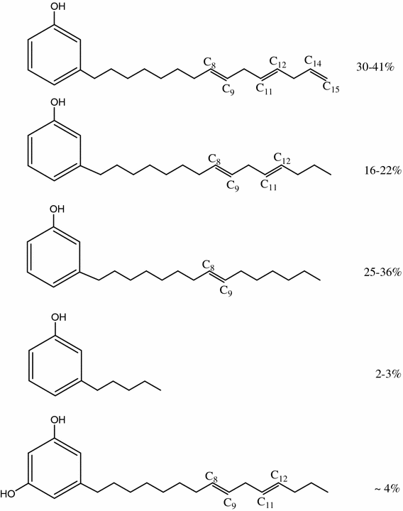 Polyols and Rigid Polyurethane Foams from Cashew Nut Shell Liquid ...