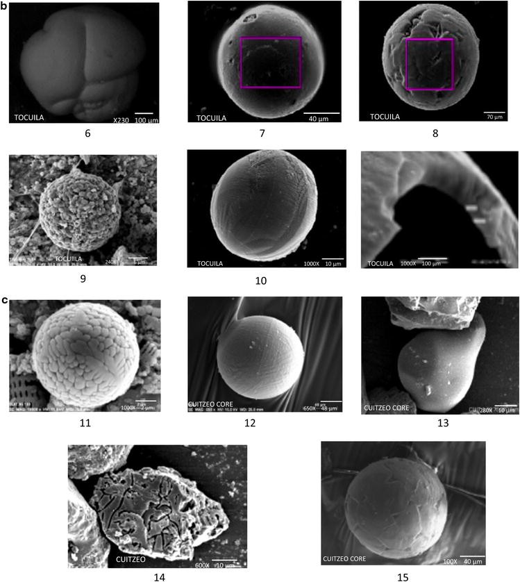 Five Younger Dryas black mats in Mexico and their stratigraphic and ...