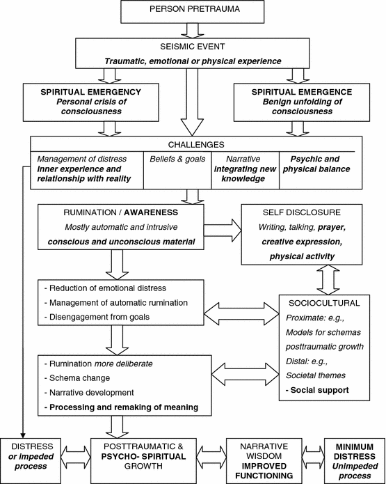 Bereavement and Transformation: A Psycho-spiritual and Post-traumatic ...