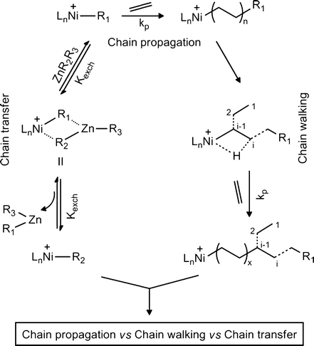 Controllable preparation of branched polyethylene with different ...