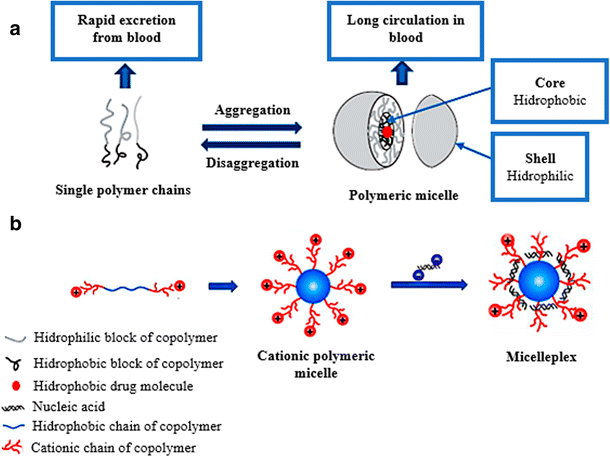 Poloxamers, poloxamines and polymeric micelles: Definition, structure ...