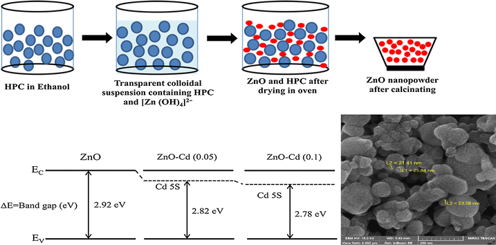Optical, structural, and photocatalytic properties of Cd-doped ZnO ...