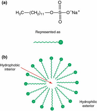 Thermodynamics of sodium dodecyl sulphate (SDS) micellization in the ...