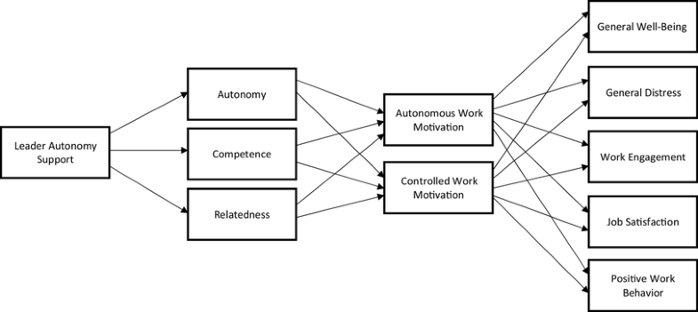 Leader autonomy support in the workplace: A meta-analytic review ...