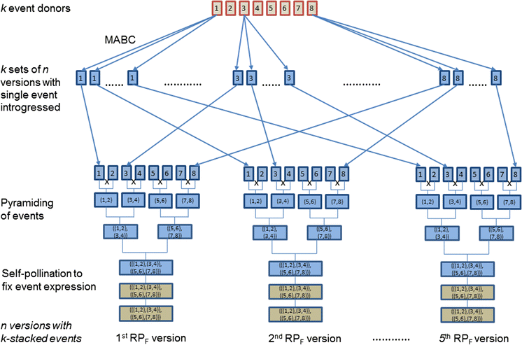 Optimized breeding strategies for multiple trait integration: III. Parameters for success in ...