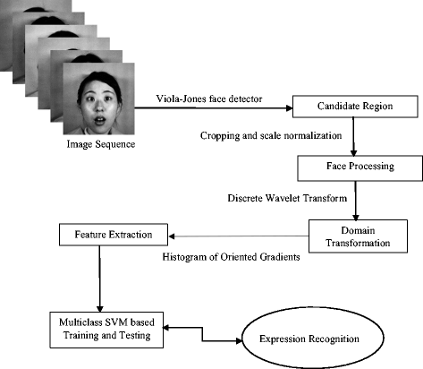 Efficient facial expression recognition using histogram of oriented gradients in wavelet domain ...