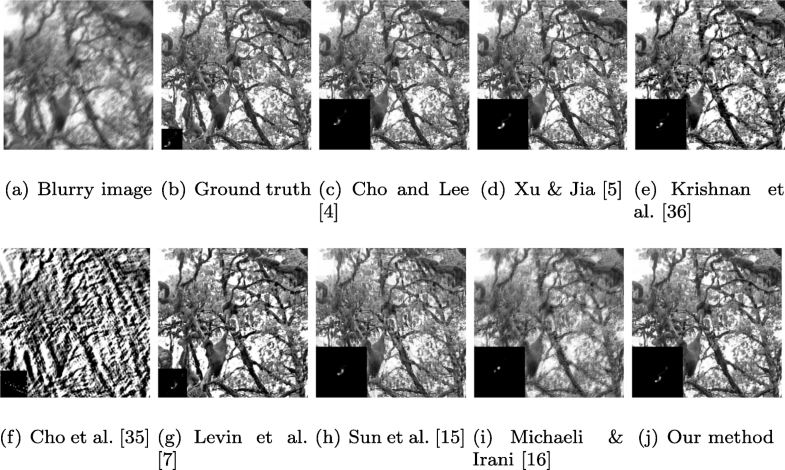 Blur kernel estimation using sparse representation and cross-scale self-similarity | SpringerLink